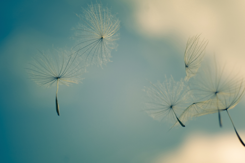 A response to Ofgem’s consultation on frameworks for future systems and ...